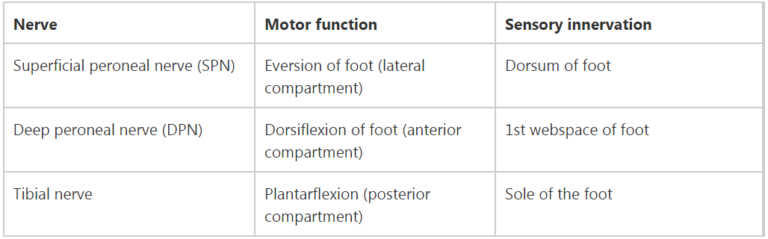 Ankle Fractures - OrthoSHO